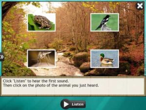 Auditory Memory Worksheets - HappyNeuronPro Worksheets