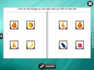 Flower Worksheets for Visual Attention - Printable & Science Based