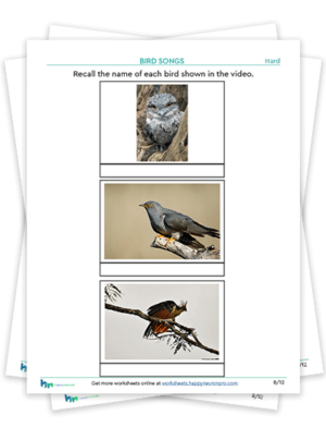 Brain Training Activities for Auditory Attention - For Adults & Kids