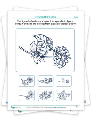 15+ Fun Visual Attention Worksheet - HappyNeuron Pro