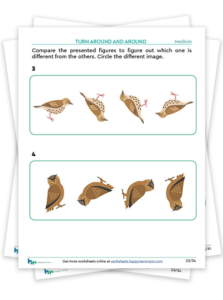 All Packets - Cognitive Worksheet Packets from HappyNeuron Pro