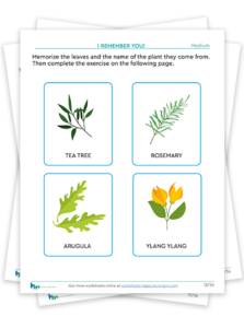 Free Worksheets for Seniors - HappyNeuronPro Worksheets