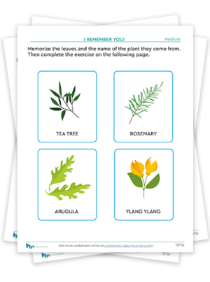 Visual Attention Worksheets & Activities | Science-based - PDF