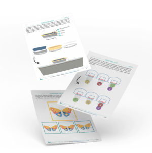 Printable Semantic Memory Worksheet - Mini Packet #52